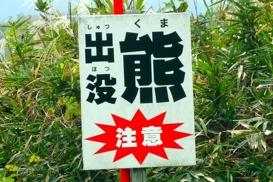 「動物が可哀想」じゃ済まない ヒグマvsドローン 深刻な鳥獣被害とその駆除方法とは | Merkmal（メルクマール） - (4)
