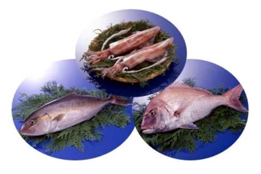 飛行機vs新幹線 「速さ」で勝負？ ANAが挑む物流改革、離島物流の未来を切り開くのはどちらだ？ 五島列島鮮魚当日配送を考える | Merkmal（メルクマール） - (2)